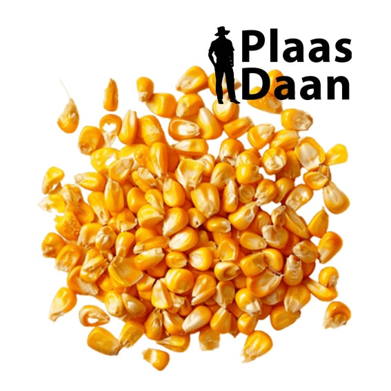 Plaas Daan Yellow Maize 1kg | Xclusive 2 U
