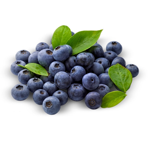 Blueberries Punnet 125g | Xclusive 2 U